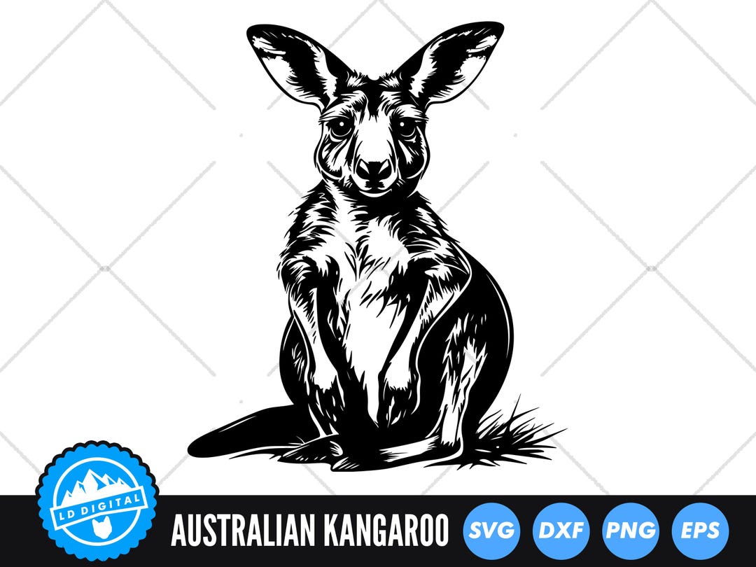 Kangaroo SVG Files | Kangaroo Cut Files | Australian Animal Vector ...