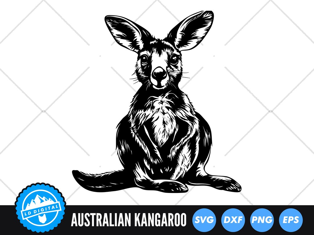 Kangaroo SVG Files | Kangaroo Cut Files | Australian Animal Vector ...