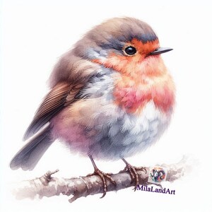 10 Watercolor Cliparts robin Bird, Digital Print, Wall Art, Watercolor ...