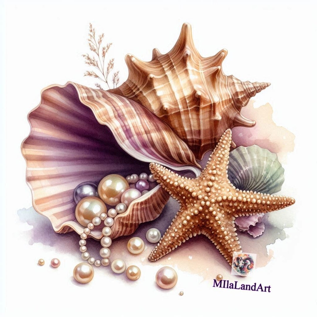 Pastel Sea Shell Clipart: Watercolor Ocean Art (digital Print) - Etsy