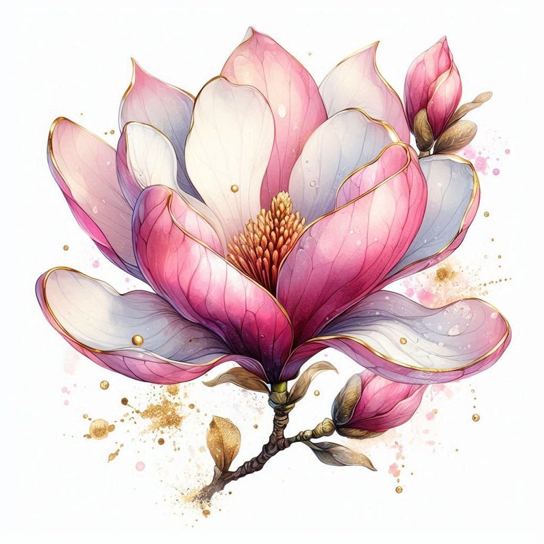 Magnolia Flower, Digital Print, Wall Art, Watercolor Clip Art, High ...