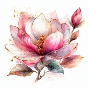 Magnolia Flower, Digital Print, Wall Art, Watercolor Clip Art, High ...