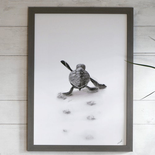 Baby Sea Turtle Graphite Drawing Print A3 A4 A5 Signed by - Etsy