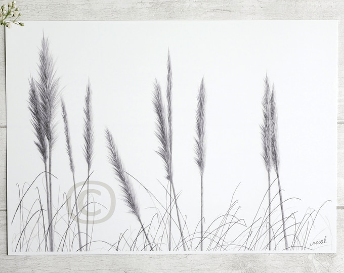Graphite Pencil Drawing Print | Long Grass Plant | A5, A4, A3 | Wall ...