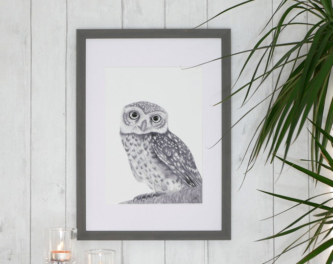 Cute Owl Graphite Drawing Print | A3 A4 A5 | Signed by Artist | Animal ...