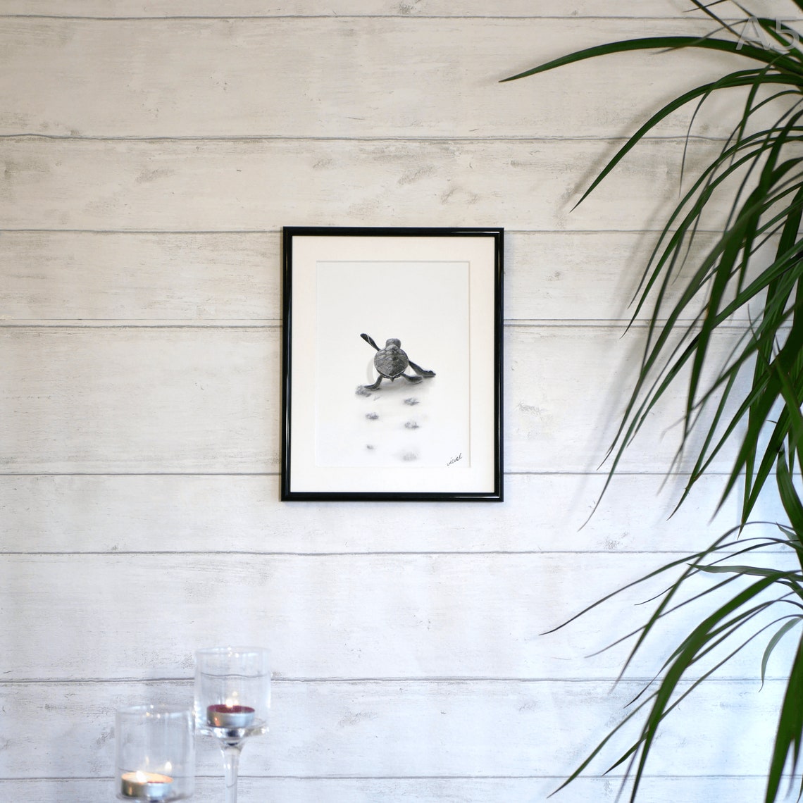 Baby Sea Turtle Graphite Drawing Print A3 A4 A5 Signed by - Etsy