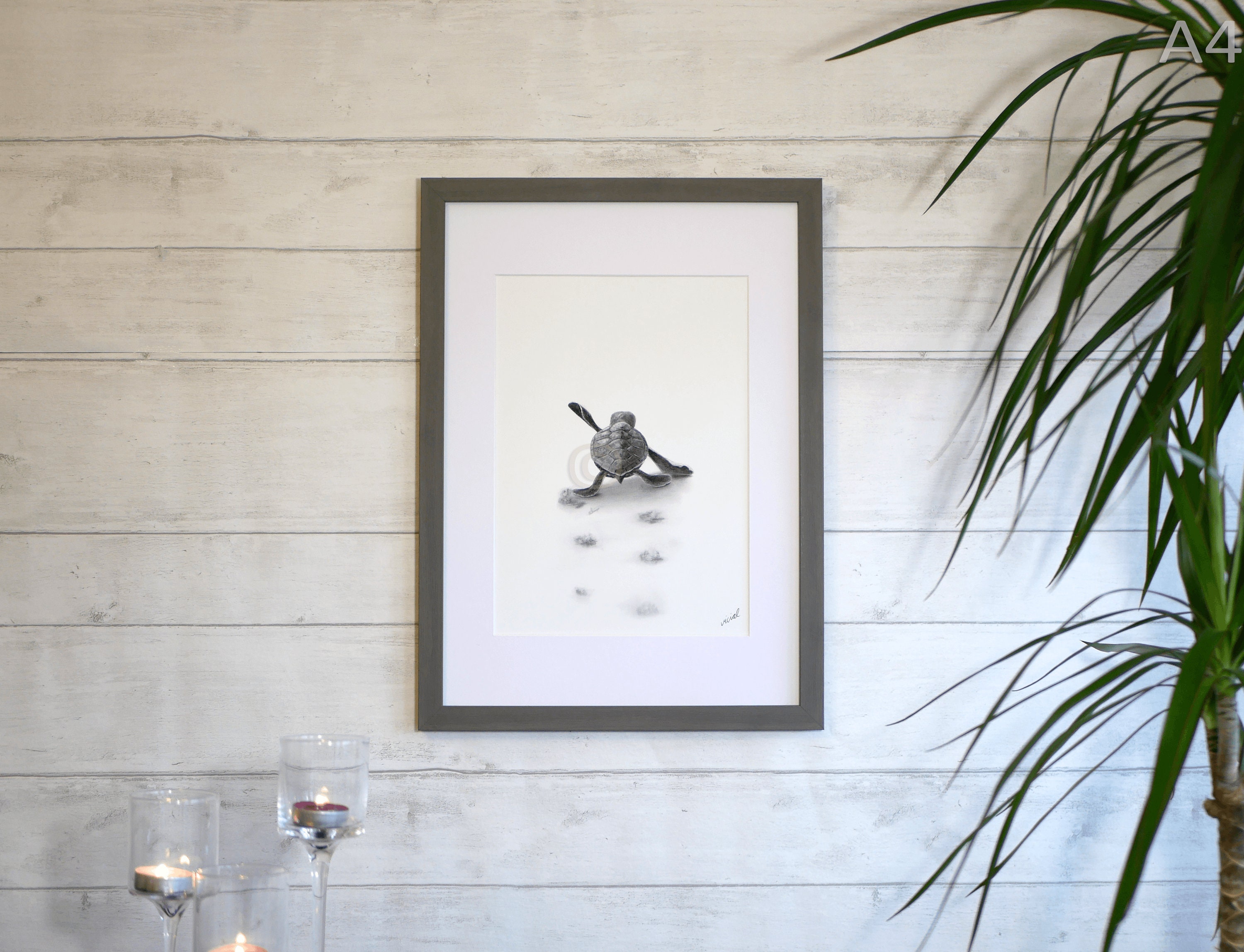 Baby Sea Turtle Graphite Drawing Print A3 A4 A5 Signed by - Etsy