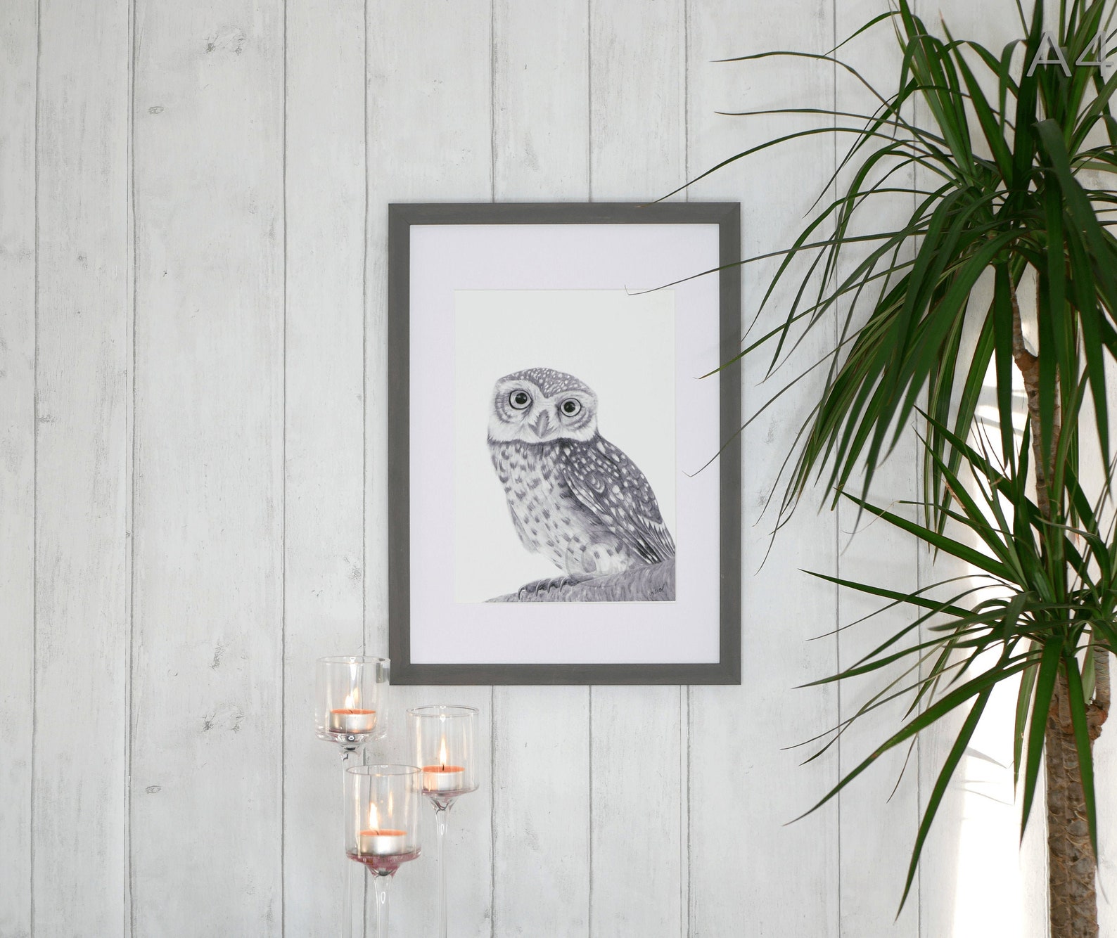 Cute Owl Graphite Drawing Print A3 A4 A5 Signed by Artist - Etsy UK