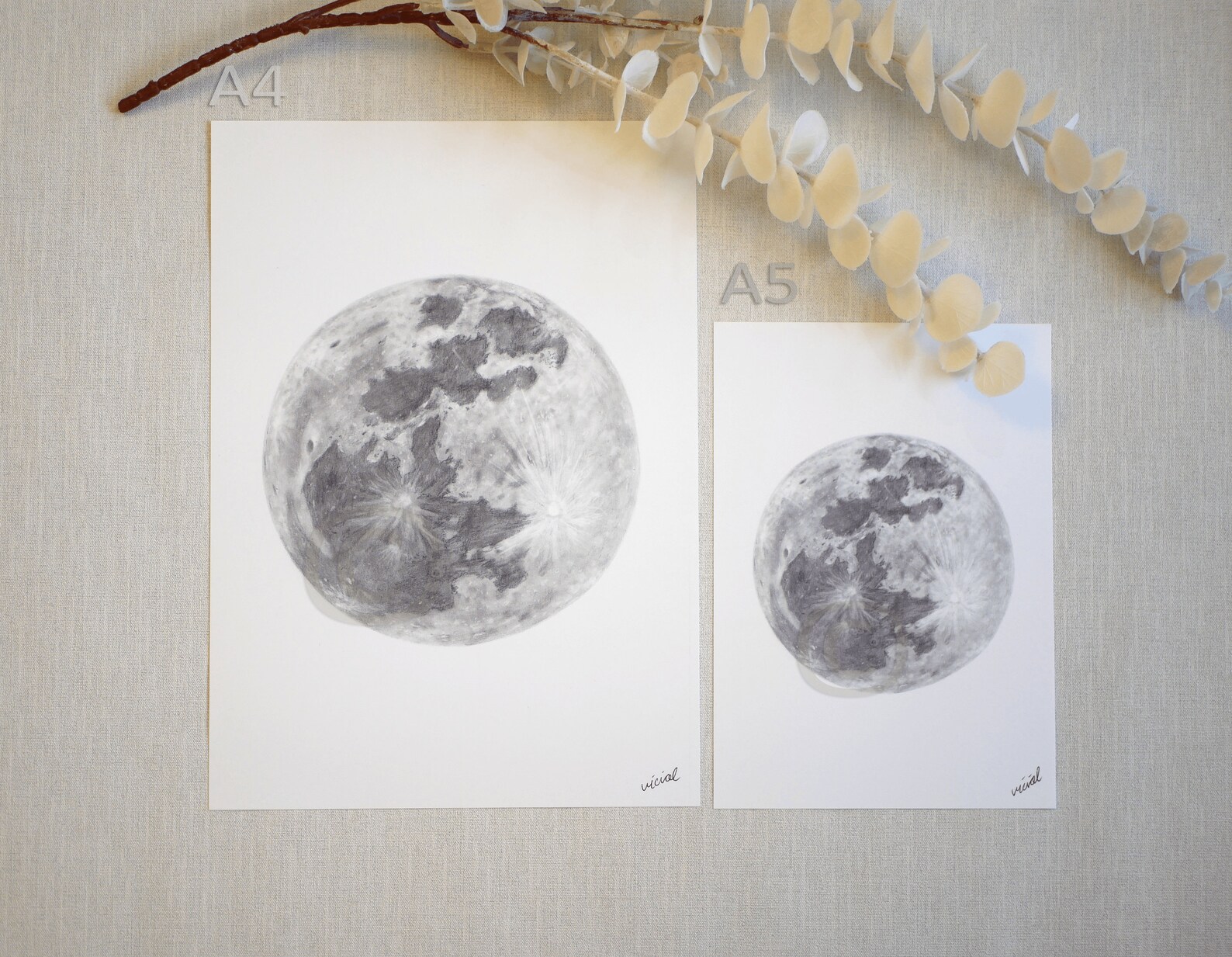 Moon Graphite Drawing Print A3 A4 A5 Signed by Artist - Etsy