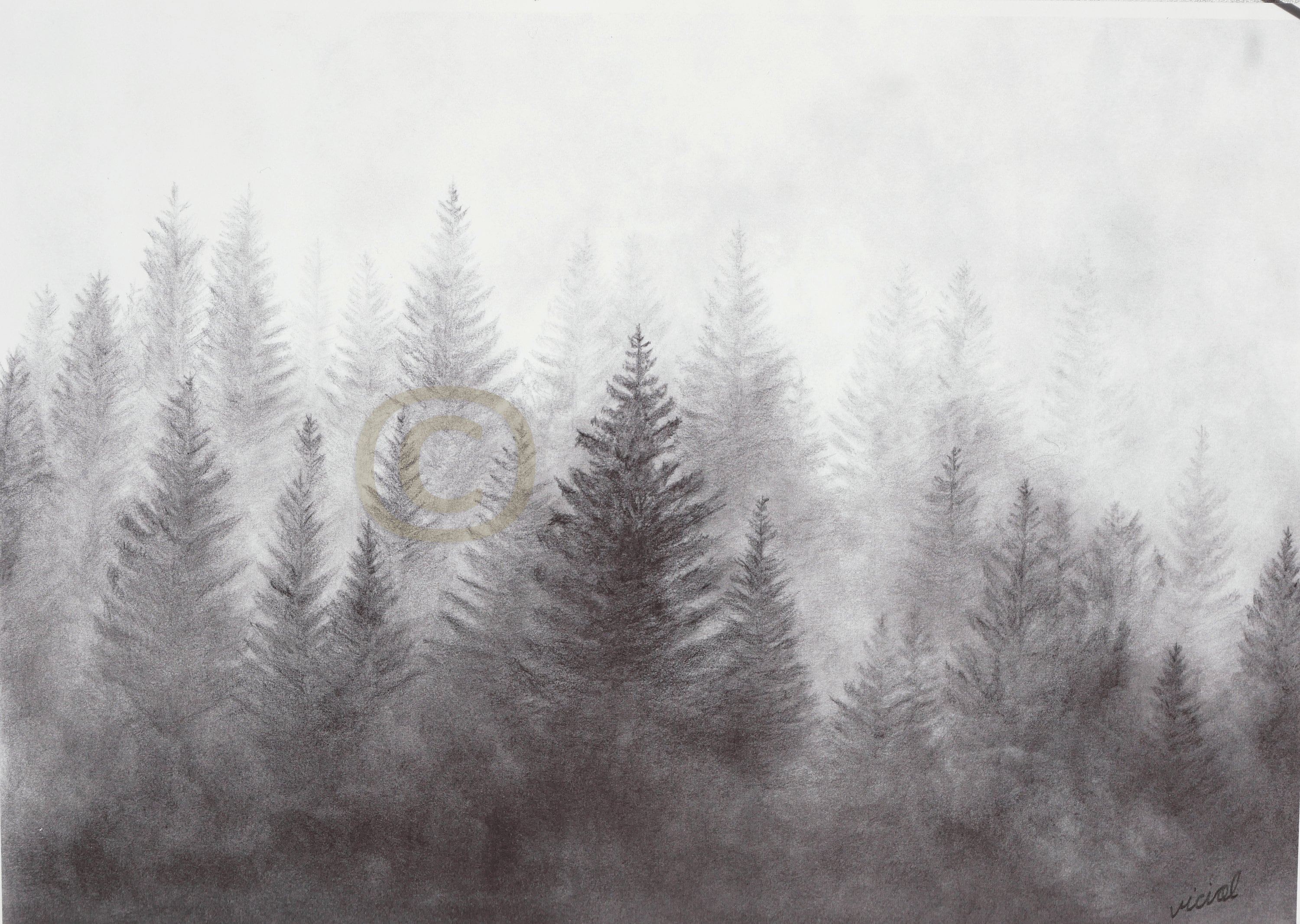 Foggy Forest Graphite Drawing Print / Landscape / Print Signed | Etsy
