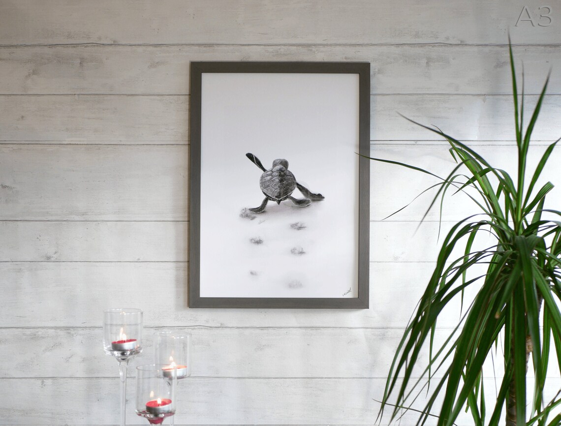 Baby Sea Turtle Graphite Drawing Print A3 A4 A5 Signed by - Etsy