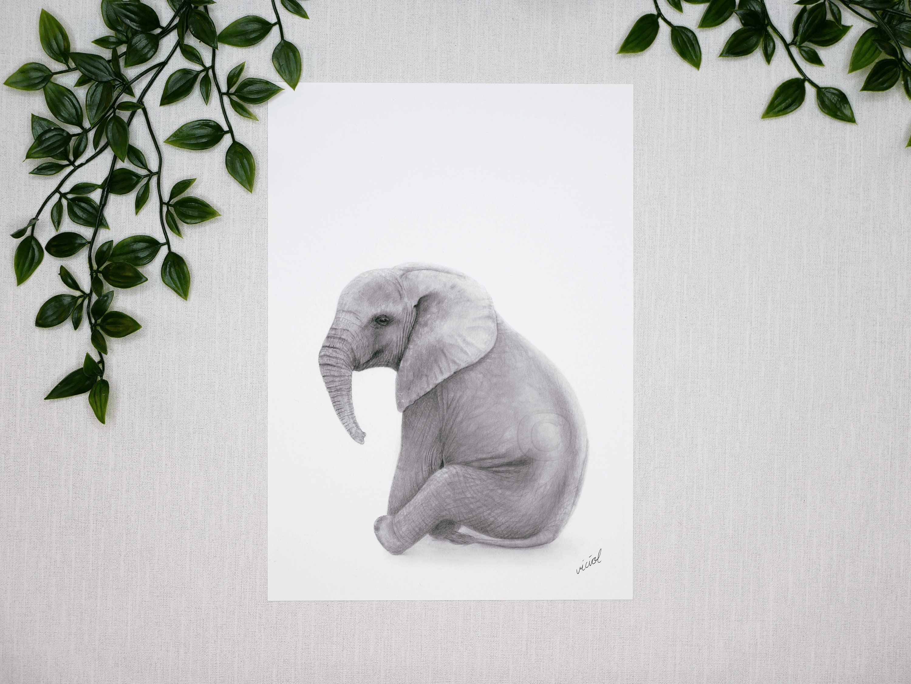 Baby Elephant Graphite Drawing Print / A3 A4 A5 / Firmado por - Etsy España