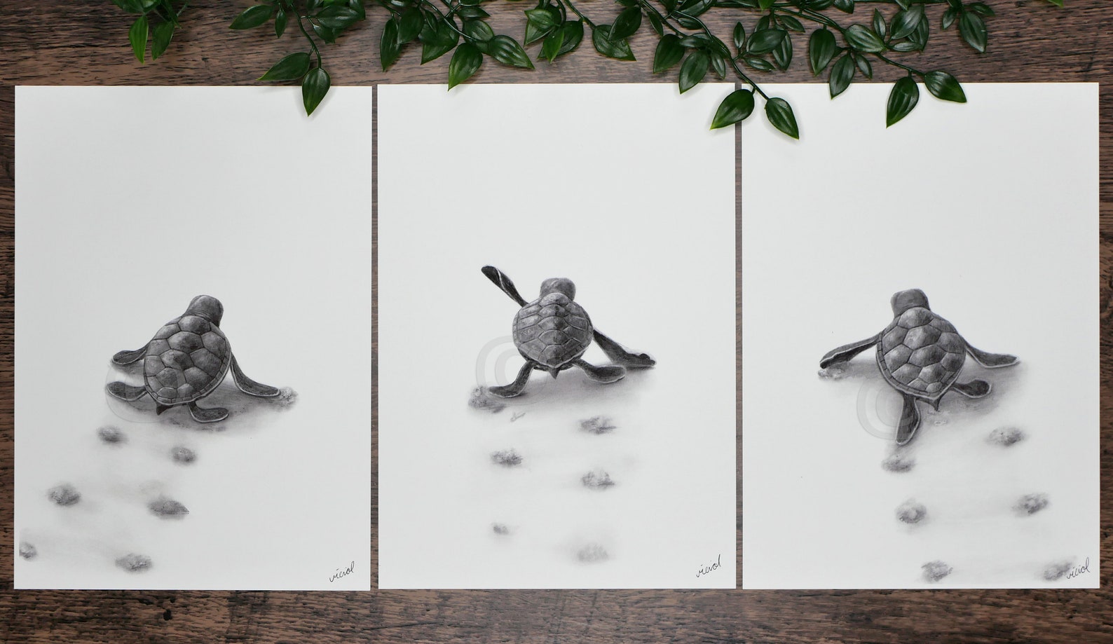 Baby Sea Turtles Graphite Drawing Prints A3 A4 A5 Signed - Etsy