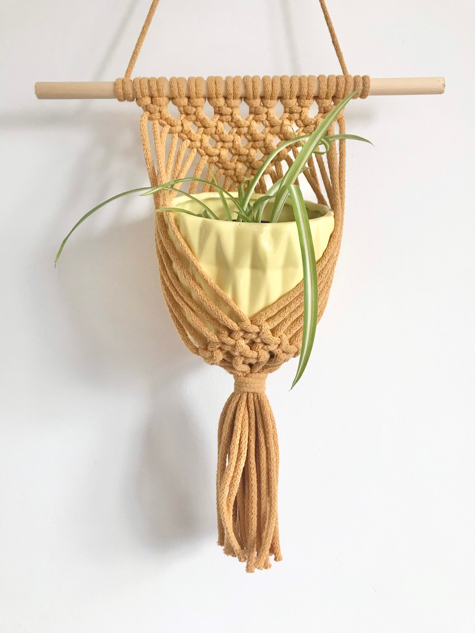 Macramé Wall Planter Macramé Plant Hanger Wall Hanging for | Etsy