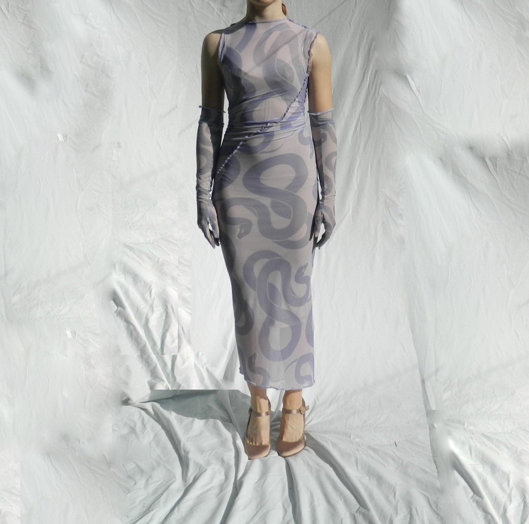 AMBLYODIPSAS Digitally Printed Snake Pattern Mesh Dress - Etsy