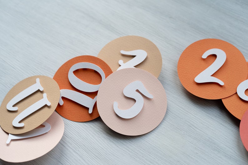 Rainbow First Year Banner Baby Monthly Photo Garland Muted - Etsy