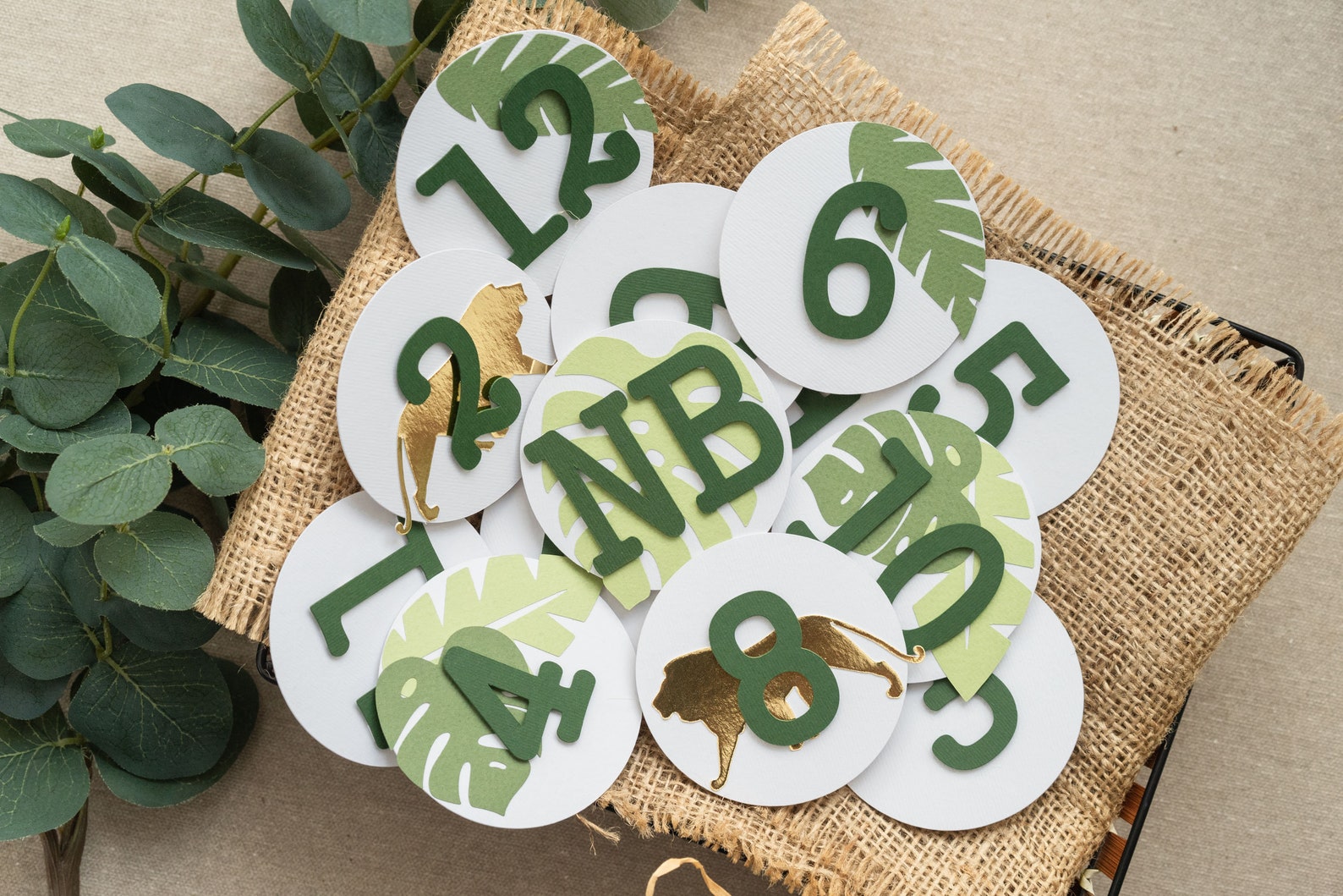 Wild One First Year Photos 12 Month Photo Banner With Lion - Etsy