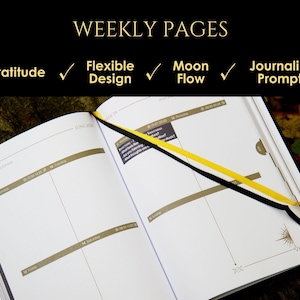 2025 COSMOPLANNER Moon Planner Creative Productivity Planner Moon Journal Moon Phases Full Moon ...