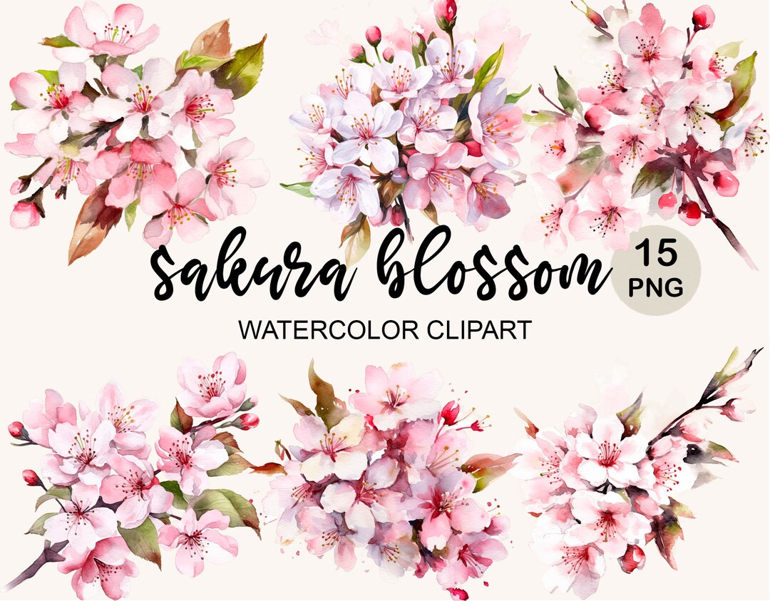 Watercolor Sakura Blossom Clip Art Png, Floral Watercolor Clipart ...