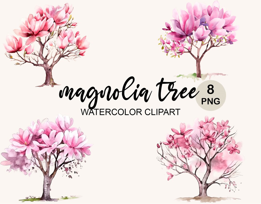 Magnolia Tree Clipart Png, Watercolor Magnolia Png, Magnolia Clipart ...