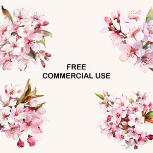 Watercolor Sakura Blossom Clip Art Png, Floral Watercolor Clipart ...