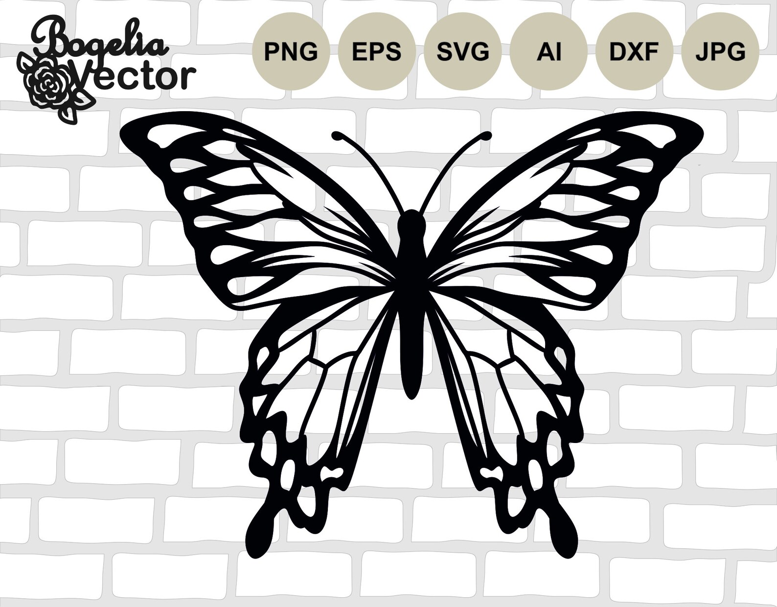 Butterfly Svg Butterfly Cut File Butterflies Butterfly | Etsy