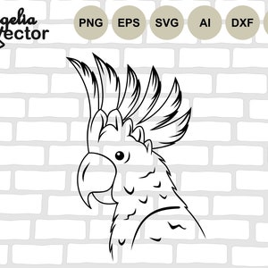 Cockatoo Svg File, Animal Svg, Cockatoo Cut File, Bird Svg, Cockatoo ...