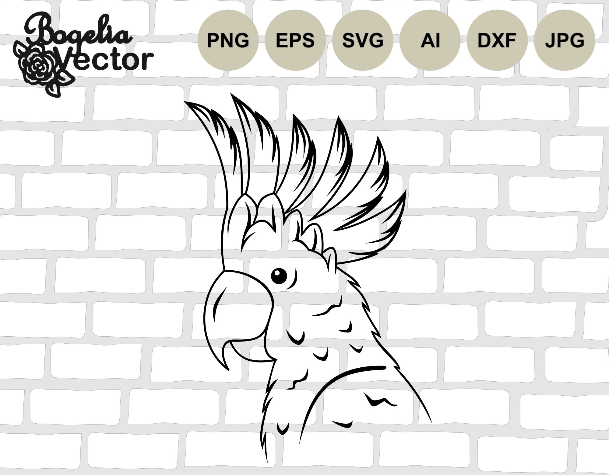 Cockatoo Svg File Animal Svg Cockatoo Cut File Bird Svg - Etsy