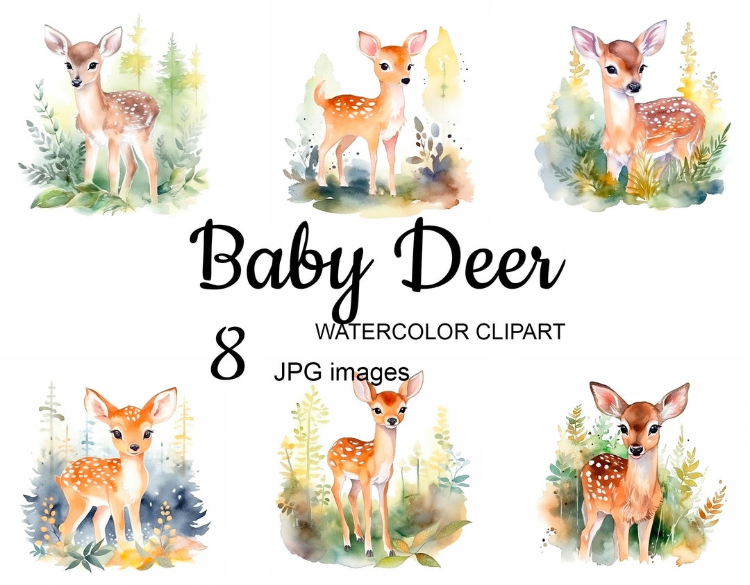 Watercolor Baby Deer Clipart, Watercolor Animal Clip Art, Woodland ...