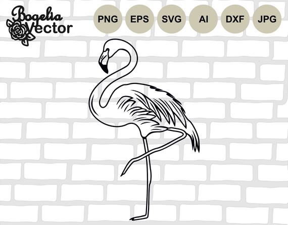 Flamingo Svg File Flamingo Cut File Animal Svg Beach | Etsy