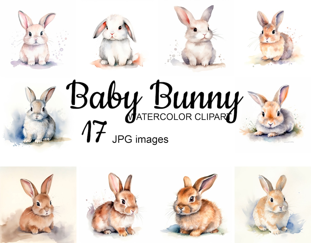 Watercolor Baby Bunny Clipart 17 High Quality Jpg Cute - Etsy