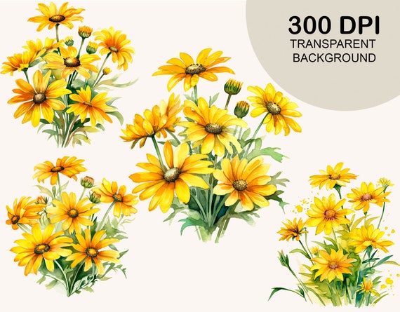 Yellow Daisy Clipart