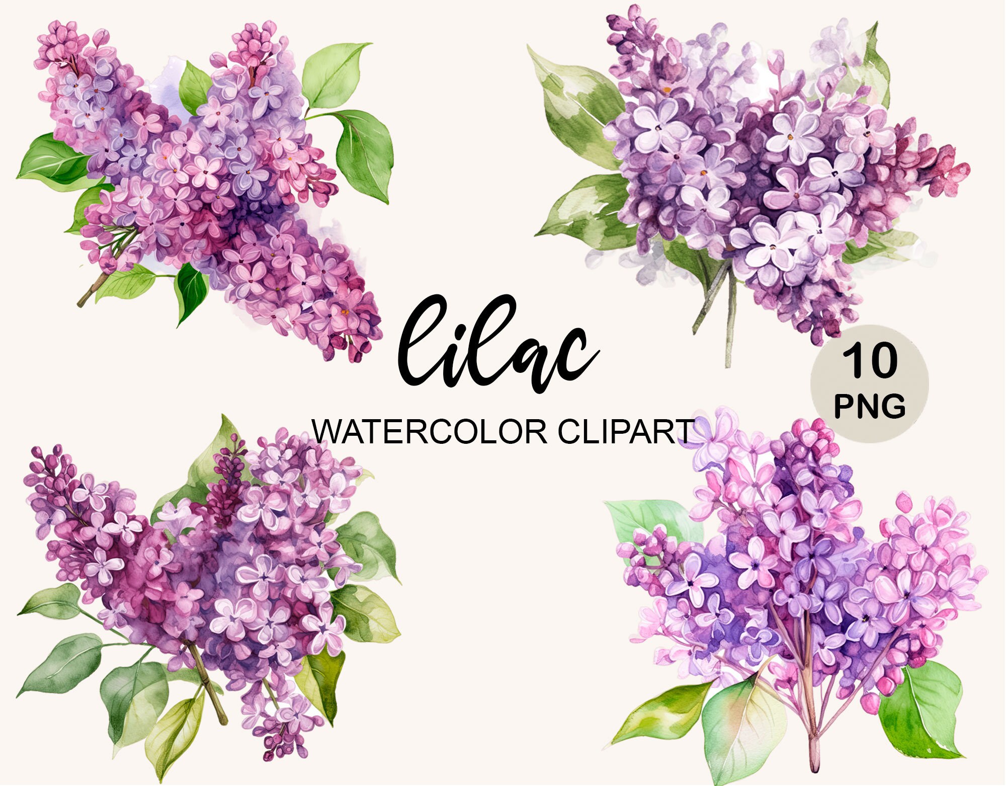 Watercolor Lilac Clipart Lilac Png Bundle Watercolor - Etsy