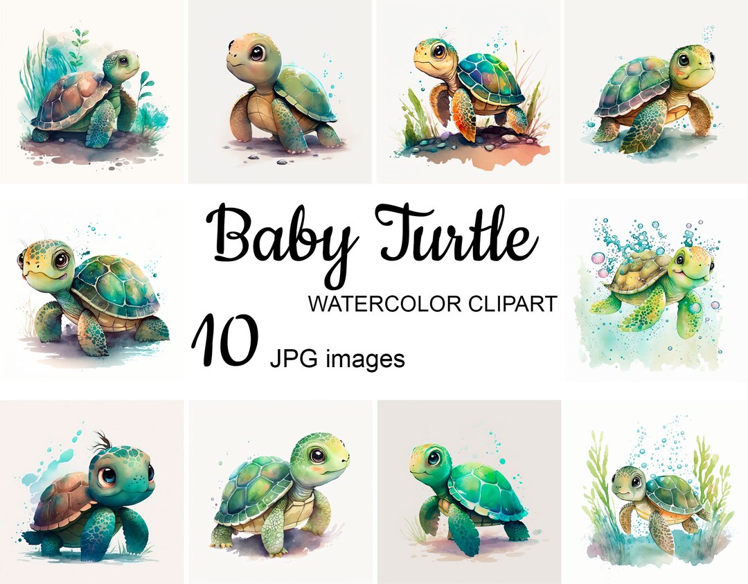 Cute Baby Turtle Clipart