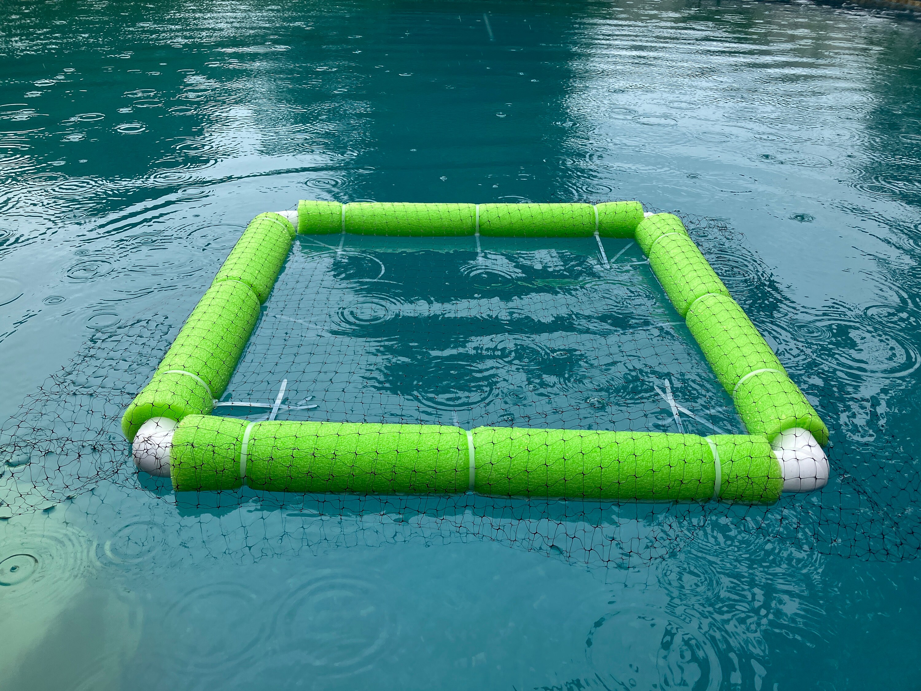 DIY- Wild Animal Rescue Device for Swimming Pools - Manual - Etsy