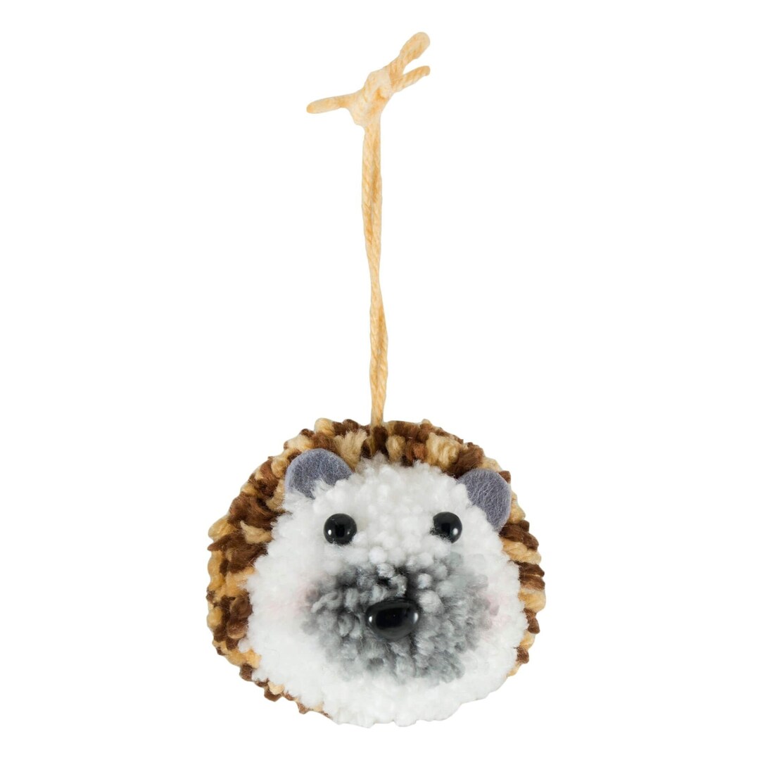 Make Your Own Hedgehog Decoration, Craft Kit for Adults & Children ...
