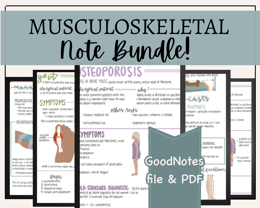Musculoskeletal Bundle Nursing Notes // Digital Download // Goodnotes ...