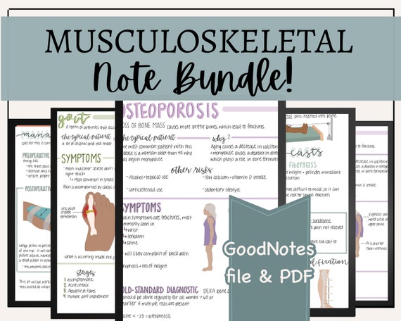Musculoskeletal Bundle Nursing Notes // Digital Download // | Etsy