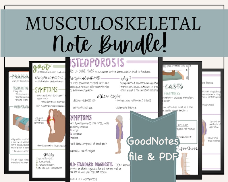 Musculoskeletal Bundle Nursing Notes // Digital Download // Goodnotes ...