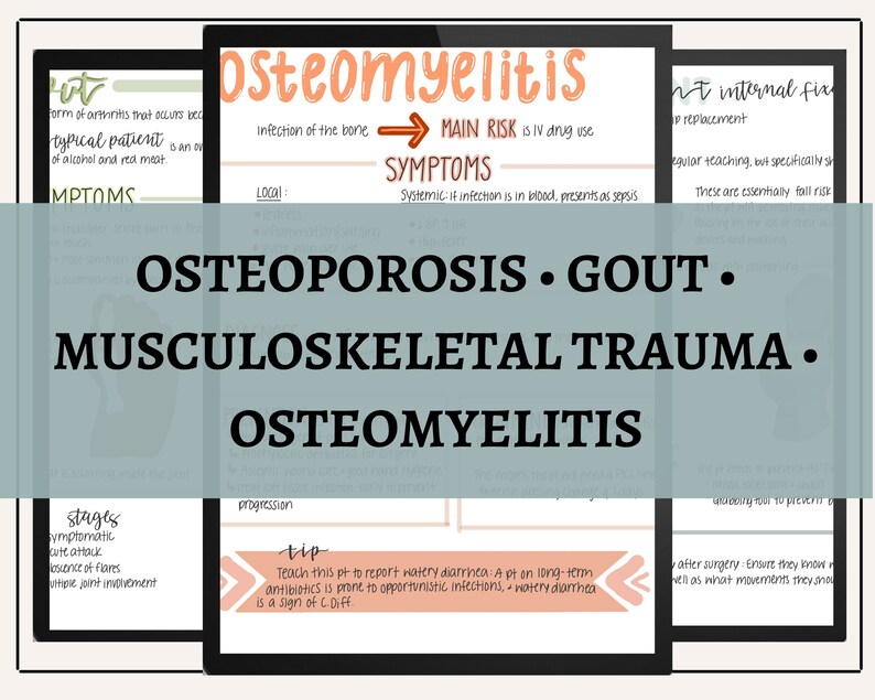 Musculoskeletal Bundle Nursing Notes // Digital Download // Goodnotes ...