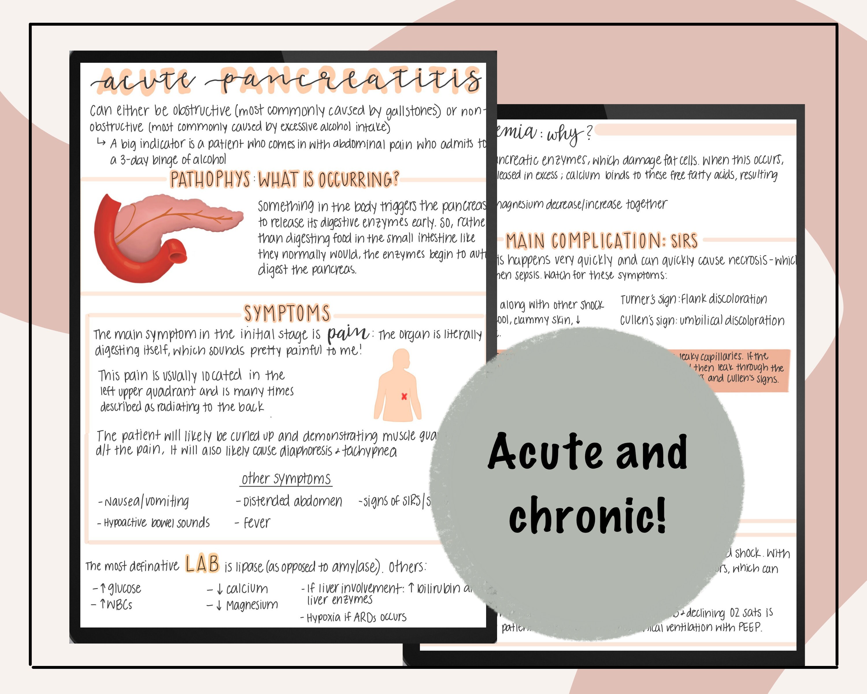 Acute, Chronic Pancreatitis Nursing Notes // Digital Download ...