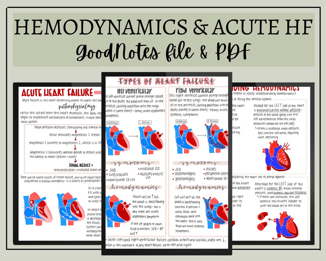 Hemodynamics, Acute HF Nursing Notes // Digital Download // Goodnotes ...