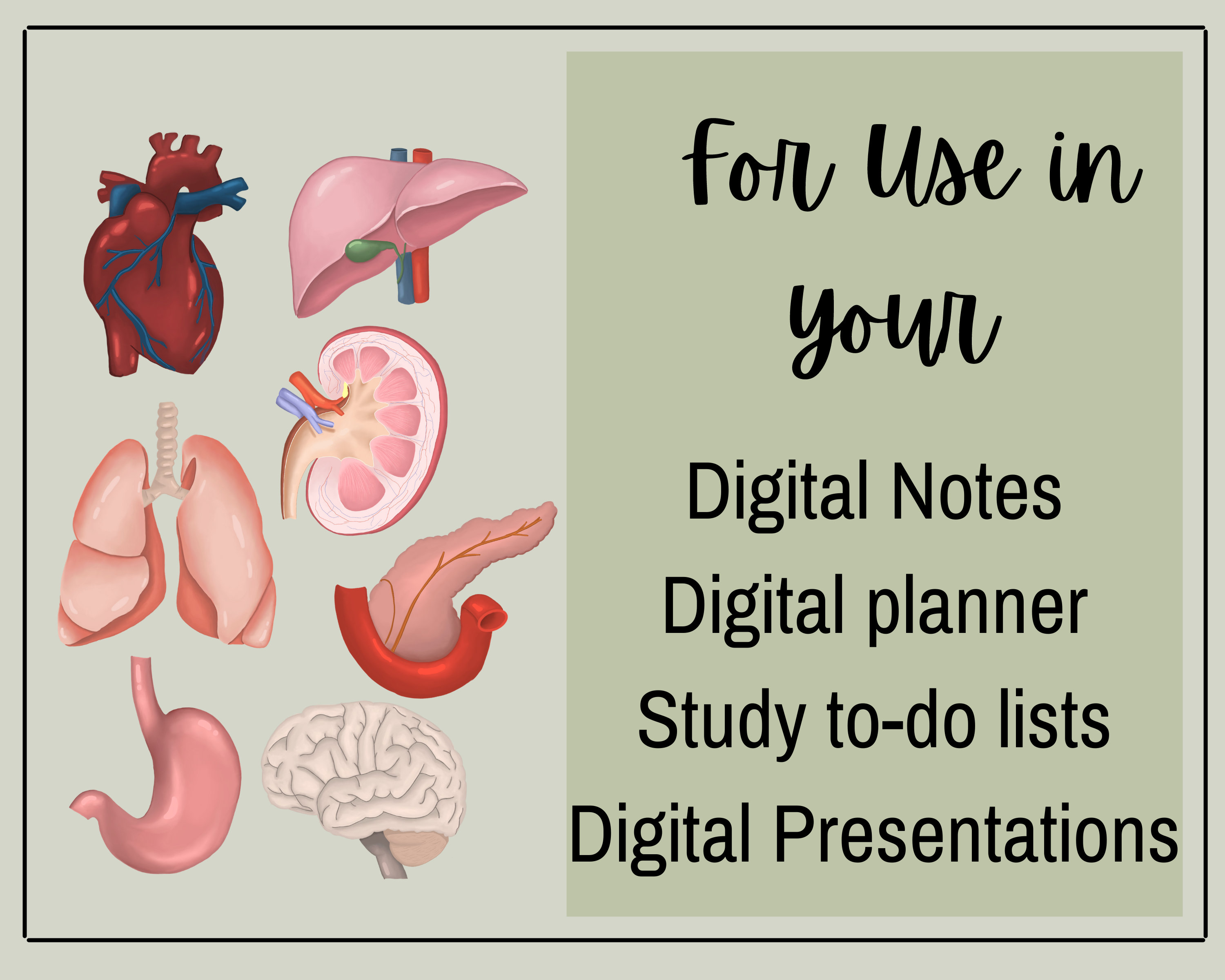 Organ Digital Stickers for Notes, Presentations, and More - Etsy UK