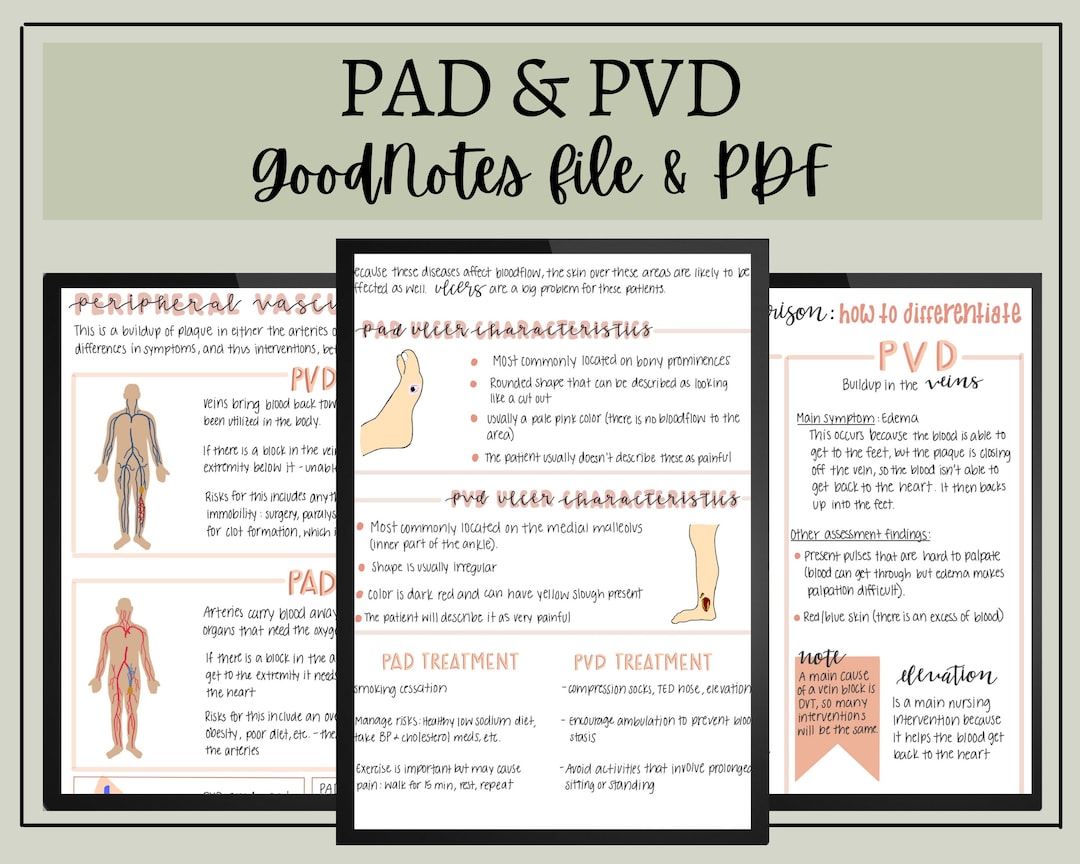 PAD, PVD Nursing Notes // Digital Download // Goodnotes File & PDF - Etsy