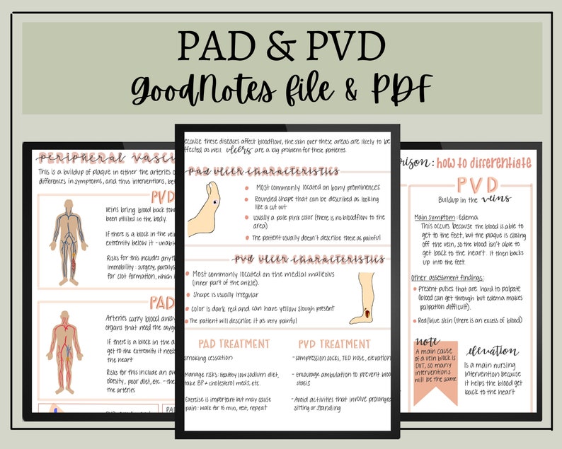 PAD, PVD Nursing Notes // Digital Download // Goodnotes File & PDF - Etsy
