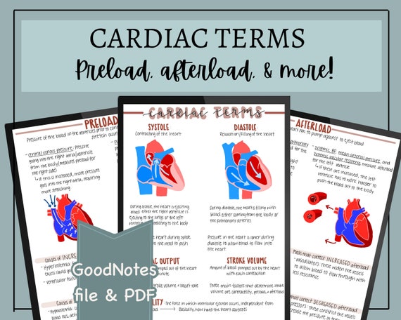 Cardiac Terms Nursing Notes // Digital Download // Goodnotes - Etsy