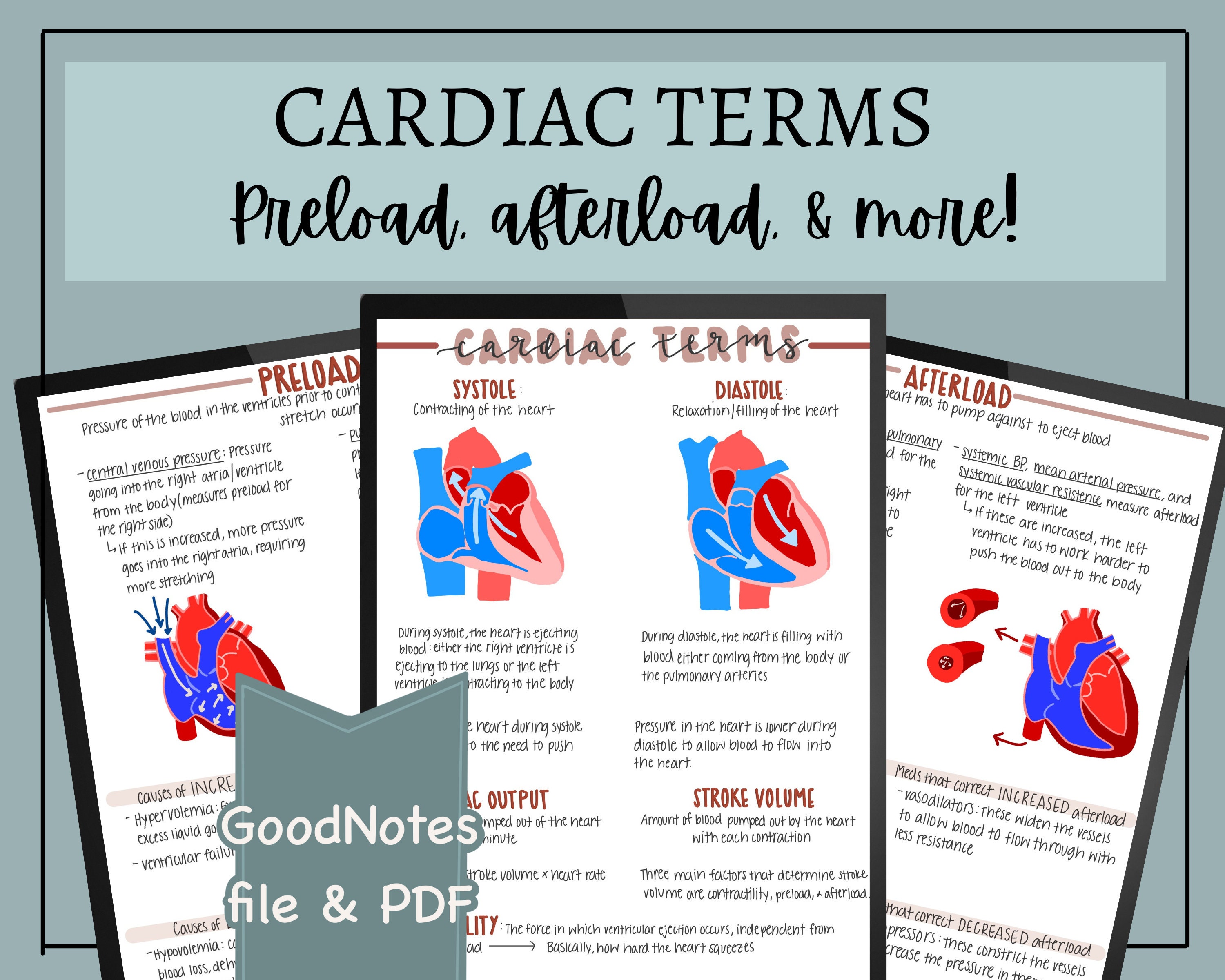 Cardiac Terms Nursing Notes // Digital Download // Goodnotes File & PDF ...