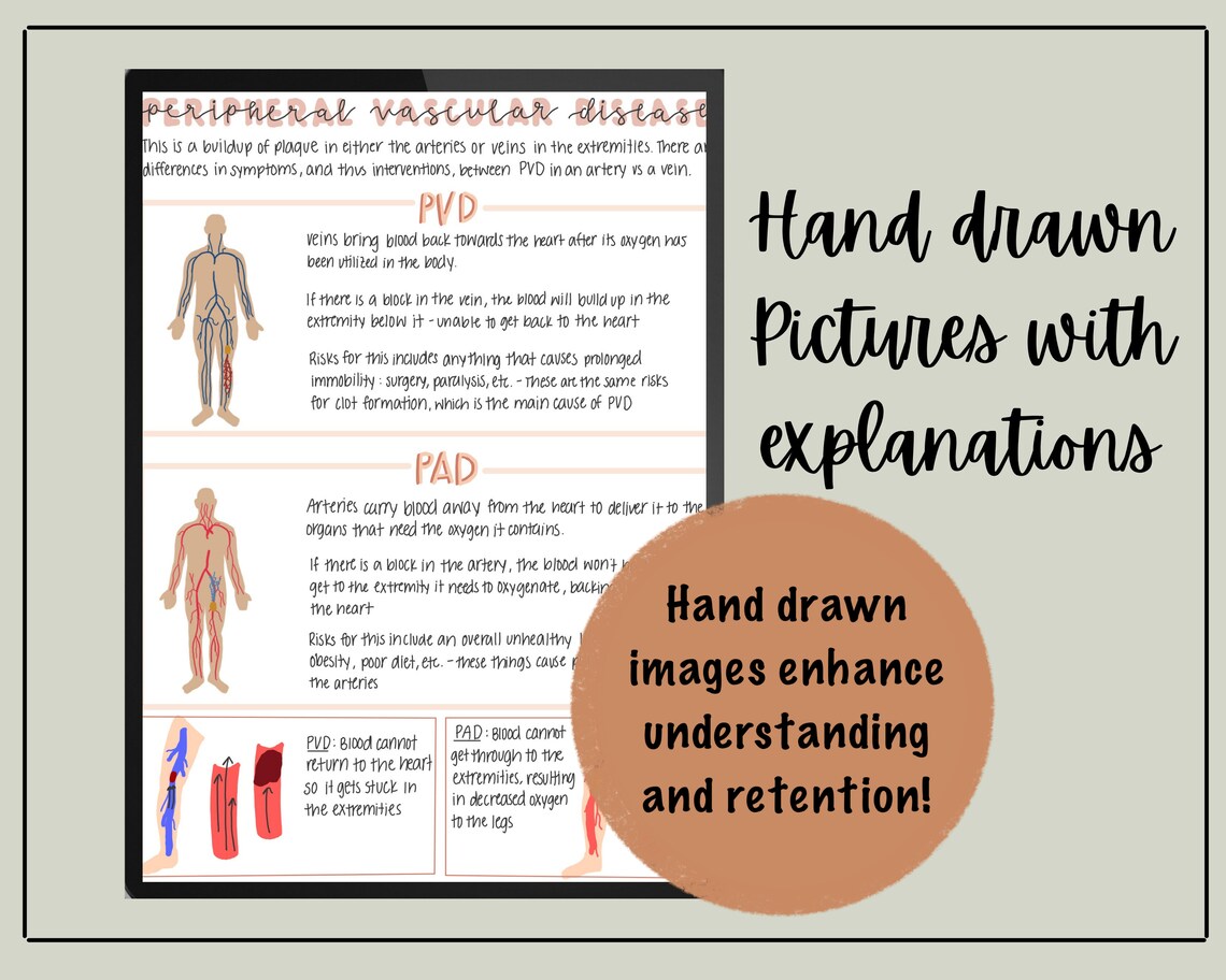 PAD, PVD Nursing Notes // Digital Download // Goodnotes File & PDF - Etsy