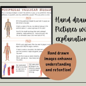 PAD, PVD Nursing Notes // Digital Download // Goodnotes File & PDF - Etsy
