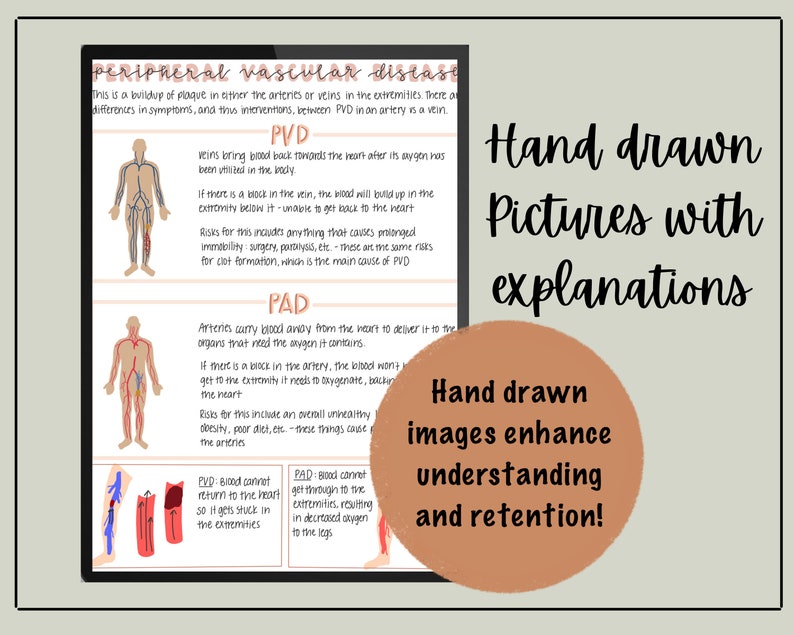 PAD, PVD Nursing Notes // Digital Download // Goodnotes File & PDF - Etsy